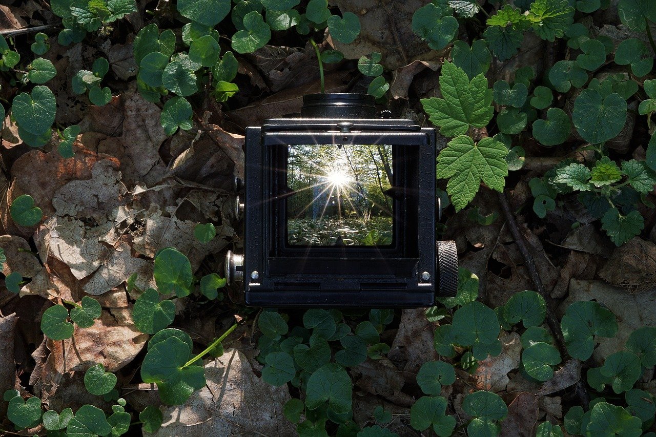 A collection of short videos on outdoor talking therapy – @SamJoeCooley